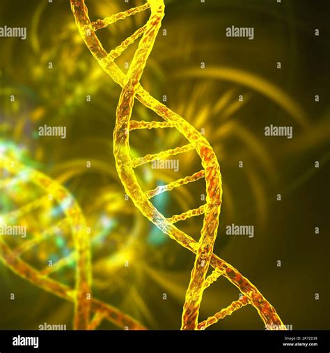 Dna Deoxyribonucleic Acid Molecules Computer Illustration Stock