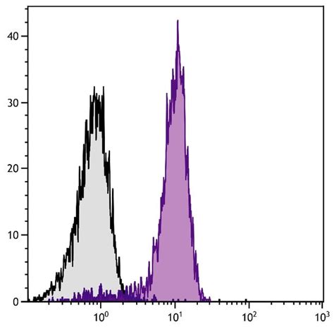 Invitrogen Cd31 Monoclonal Antibody 390 Alexa Fluor 647 25 μg Buy