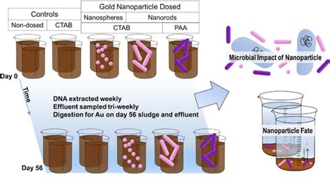 Bacterial Dna Sequencing Could Help Design Friendlier Nanoparticles