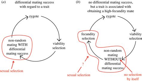 Sexual Selection Definition