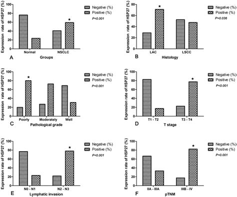 Correlation Between The Expression Of Hsp27 In Tissues And