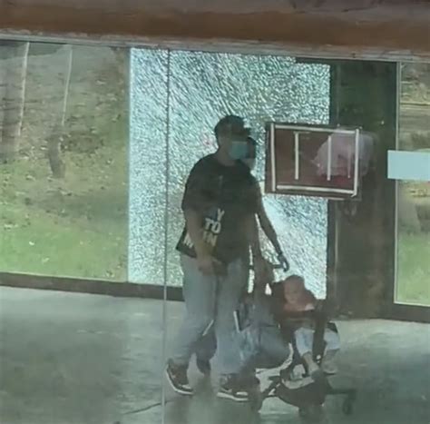 老虎拍碎玻璃游客逃窜？济南动物园回应