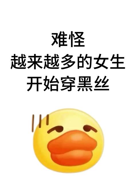 萝卜丝十一