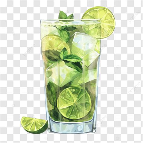 라임과 민트 잎을 넣은 상쾌한 물 한잔 상쾌 유리 음료 Png 일러스트 및 이미지 에 대한 무료 다운로드 Pngtree