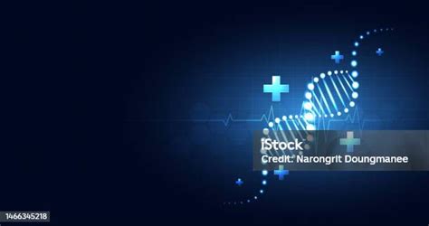 와이어프레임 Dna를 사용한 의료 및 의료 과학 기술 염색체 Dna 유전 분석 의료 기술 혁신 의학 건강 과학 및 연구에 대한 개념과 아이디어 Dna에 대한 스톡 벡터 아트