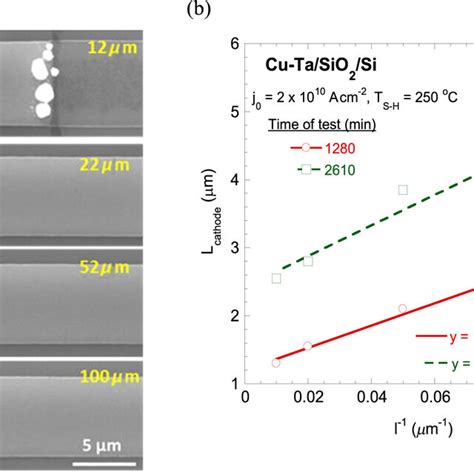 A Sem Micrographs Showing The Region Near The Cathode Of The Cu Ti