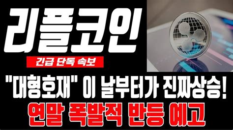 리플 전망 대형호재 이 날부터가 진짜 상승 연말 폭발적 반등 예고 Youtube