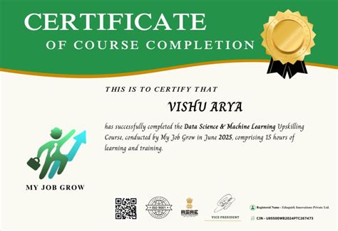 Datascience Machinelearning Internship Iitbombay Myjobgrow Learningjourney Vishu Arya