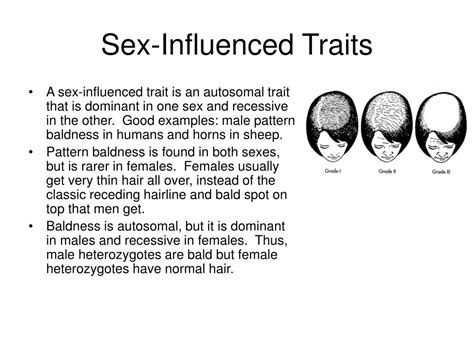 PPT Sex Related Topics PowerPoint Presentation Free Download ID