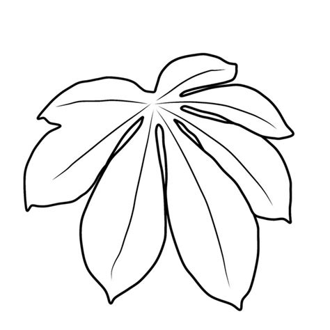 5 Cassava Leaf Fingers Stock Vectors And Vector Art Shutterstock