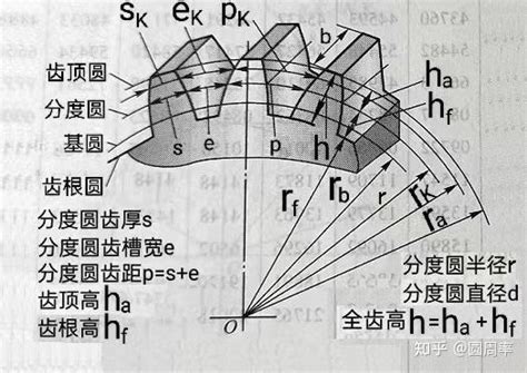 齿轮传动1（齿廓啮合基本定律及渐开线、渐开线直齿圆柱齿轮传动的基本参数） 知乎
