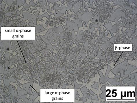Microstructure Of Slm Wc 10co4cr Hardmetal Sample [72] Reproduced From Download Scientific