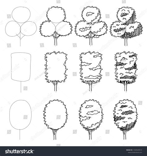 Step By Step Tree Drawinghow Draw Stock Vector Royalty Free Shutterstock