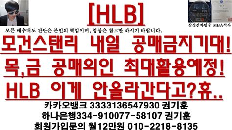 주식투자 Hlb모건스탠리 내일 공매금지기대목금 공매외인 최대활용예정hlb 이게 안올라간다고휴 Youtube