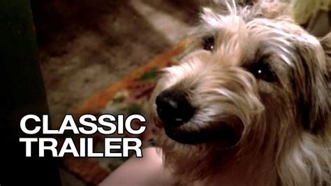 Because Of Winn Dixie 2005 Official Trailer 1 Jeff Daniels Movie