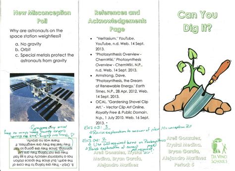 Photosynthesis Brochure Reflection Areli Gonzalezs Digital Portofolio