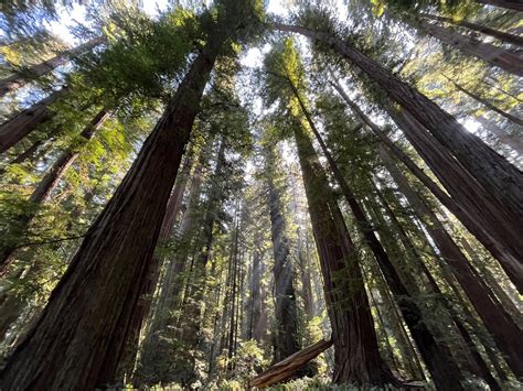 Netzach Taking The Long View — A Way In