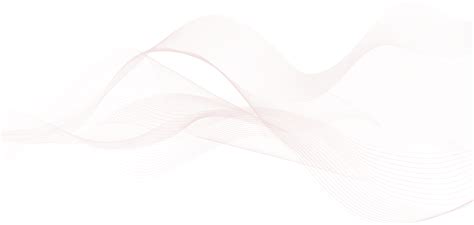 Loopa Rentabilización De Datos