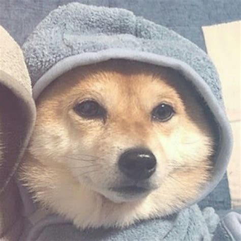 Matching Pfps For Discord Pfp Pfps Matchingpfps Cuaks