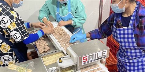 Meat Skewering Machine Smile 2019 Food Processing Machine
