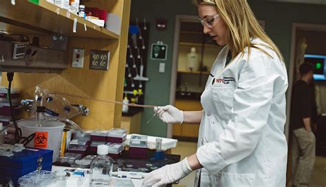 Masters In Biomedical Engineering Worcester Polytechnic Institute