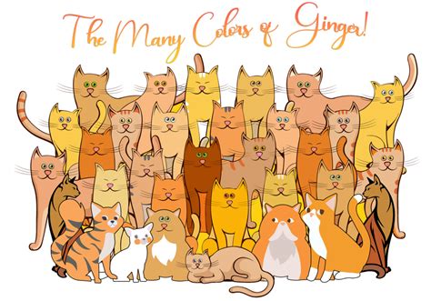 Some Facts On Ginger Fur For Ginger Cat Appreciation Day Zee And Zoeys Cat Chronicles
