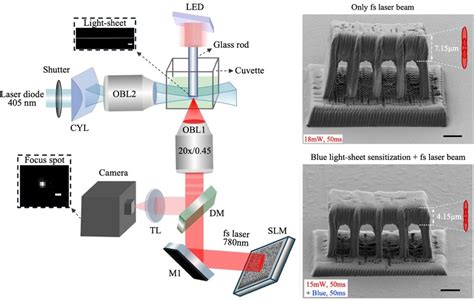 Blue Light Sheet Assisted Two Photon Polymerization ‒ Lapd ‐ Epfl