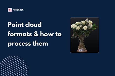 Point Cloud File Formats And How To Process Them