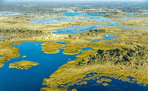 Okavango Delta Wildlife Location In Botswana Africa Wildlife Worldwide