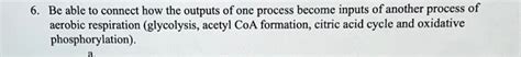 Solved Be Able To Connect How The Outputs Of One Process Become Inputs Of Another Process Of