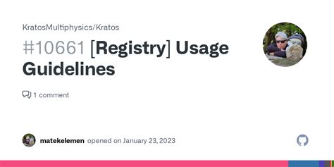 [registry] usage guidelines · issue 10661 · kratosmultiphysics kratos · github