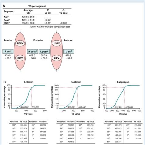 Ablation Procedure Information Download Scientific Diagram