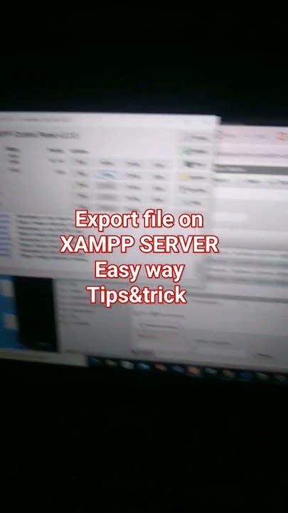 📥 Export Files From Xampp Step By Step Guide🚀 Master Xampp How To Export Files Like A Pro
