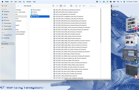 No Presets For New Plugins In Cubase By Joerg Cubase Steinberg Forums