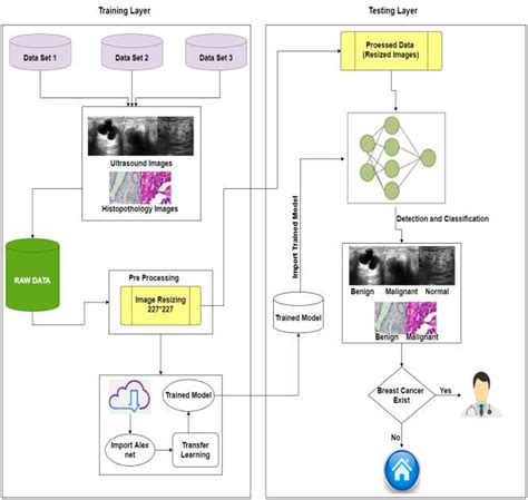frontiers breast cancer detection and classification empowered with transfer learning