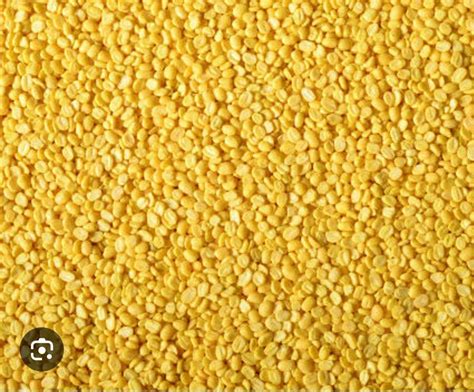 Moong Mogar Packaging Size 30kg At Best Price In Ahmedabad Id 2857606992355