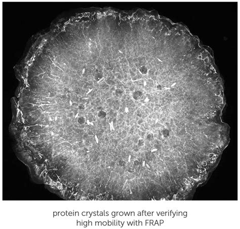 Protein Crystallization Automation And Software Formulatrix®
