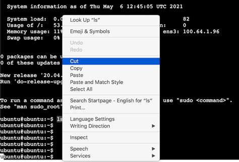Ctrl C To Interrupt A Running Process Should Work In Web Console