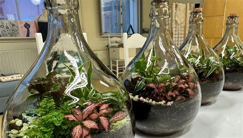 Mini Ecosysteem In Een Fles In Delft Workshop Nl