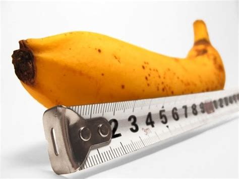 Mon Sexe A T Il La Bonne Taille La Voix Du X