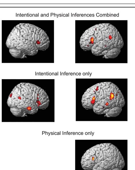 figure 1 from r human brain mapping 32 313 329 2011 r differentiable cortical networks for