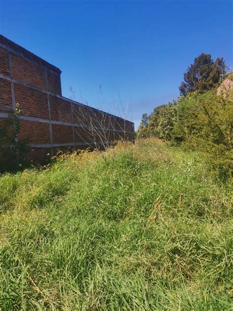Terreno En Venta En Chidalgo 199 La Laja Zapotlanejo Jalisco