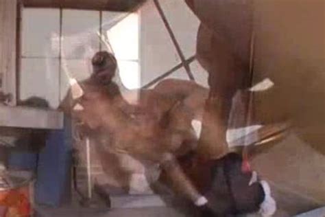 Garage Sex Gay Porn Videos At Babe Tube