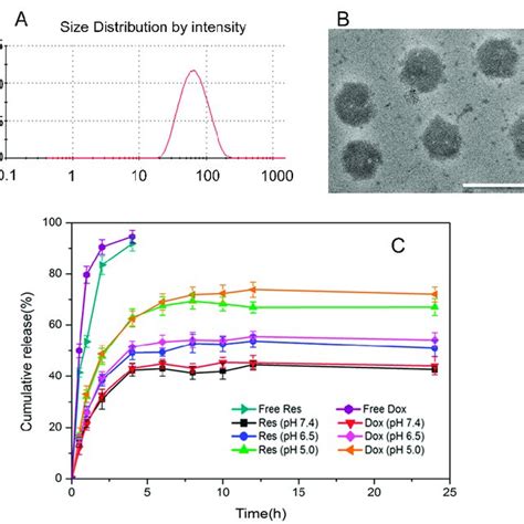 Particle Size Distribution A And Transmission Electron Microscopy Download Scientific Diagram