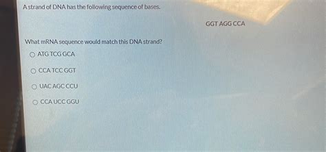 Solved A Strand Of Dna Has The Following Sequence Of Bases Ggt Agg Cca What Mrna Sequence