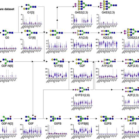 N‐glycan Signature Of Ig A Twenty‐six Different Ig N‐glycans Were Download Scientific