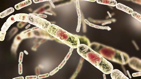 When Dangerous Toxins Teach Fundamental Biology Epfl