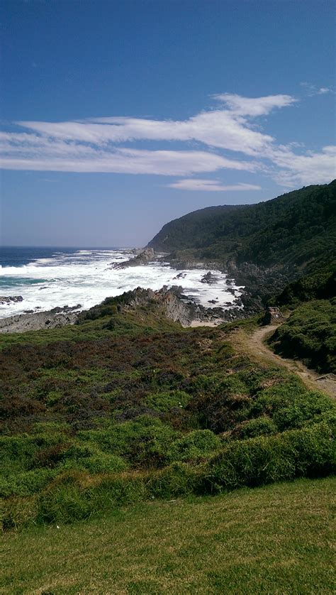 Garden Route National Park Tsitsikamma En Wilderness South Africa