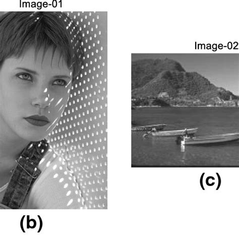histograms of plaintext and ciphertext download scientific diagram