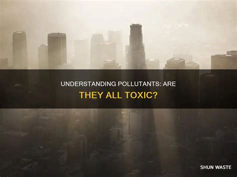 Understanding Pollutants Are They All Toxic Shunwaste